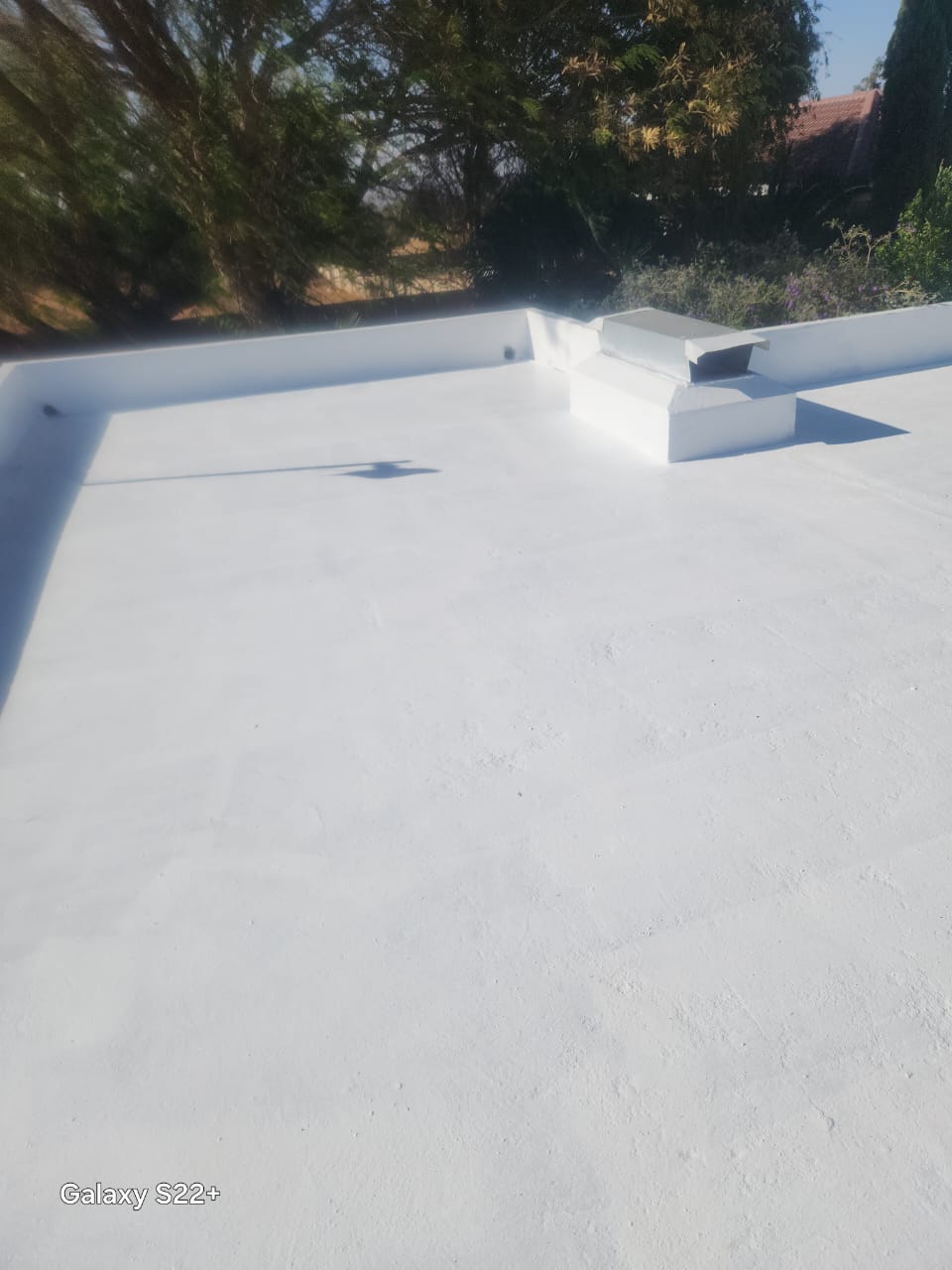 All purpose primer | Cosmo-Dec Everlasting Coatings